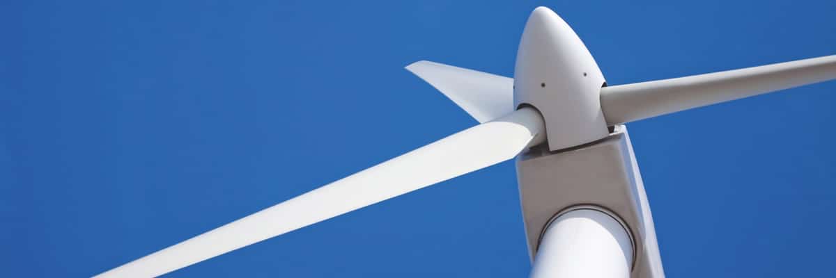 Applications of Nylon Vacuum Bag Film Pre-cutting Machine - LEAP